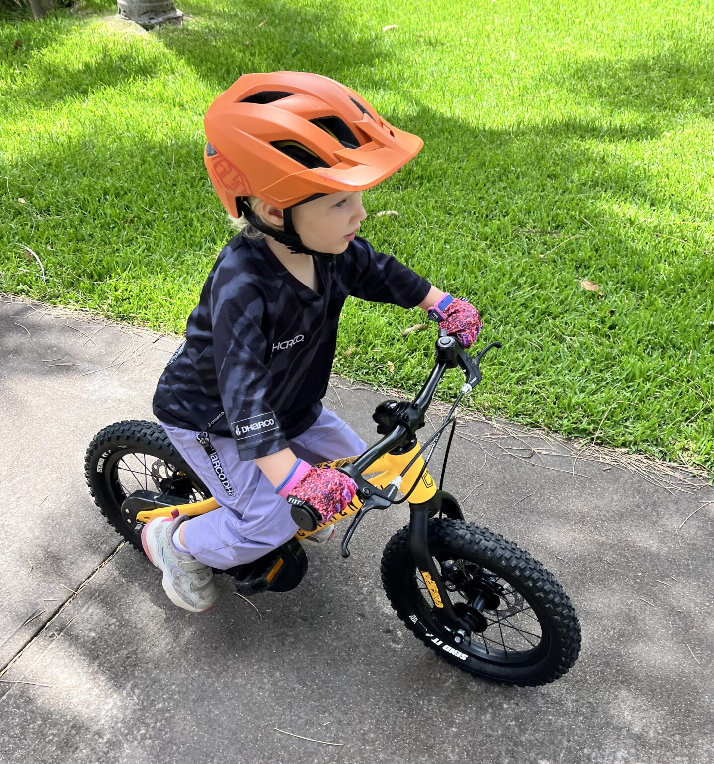 The Journey to Change Adoption: Lessons from a 3-Year-Old's First Pedal Bike Experience | Enable ...